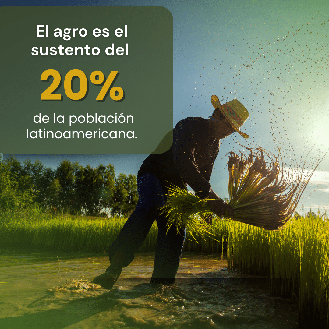 Soberanía alimentaria - CEIPLA